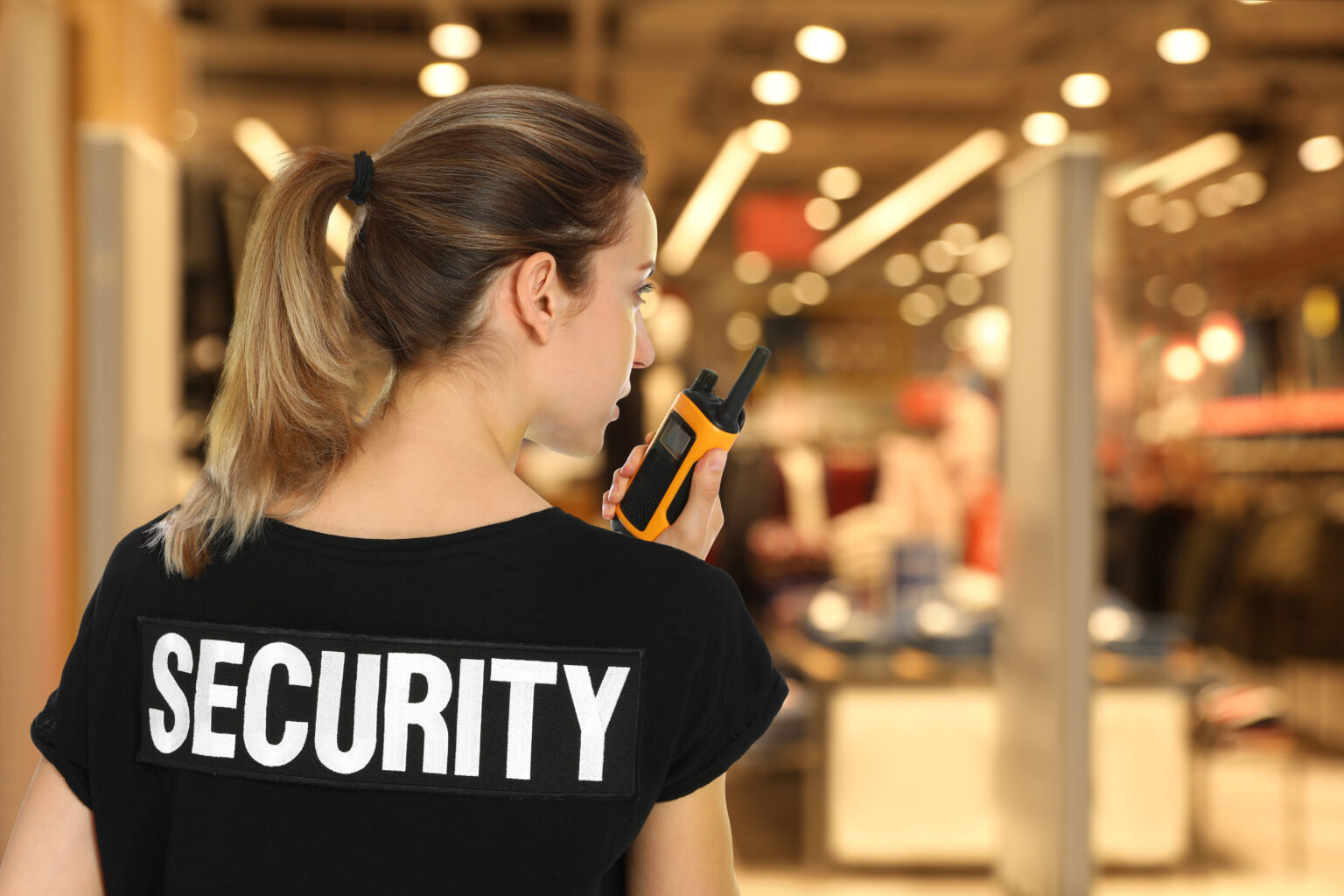 Becoming A Private Security Guard: The Ultimate Guide - Household ...